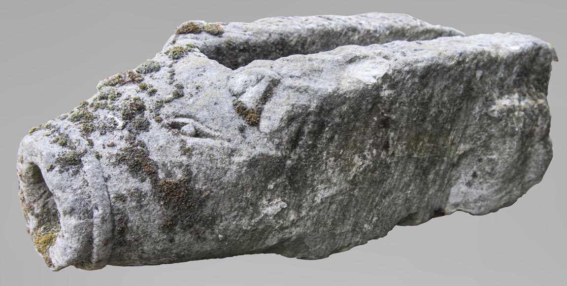 Wild boar's head, old stone gargoyle - Monumental and structures
