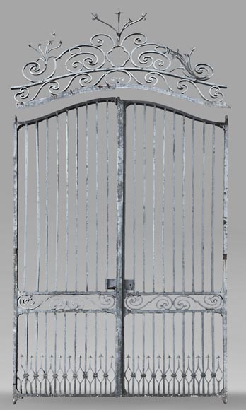 Wrought iron double panel gate with spikes - Doors