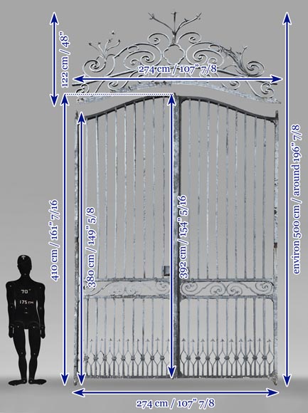 Wrought iron double panel gate with spikes - Doors