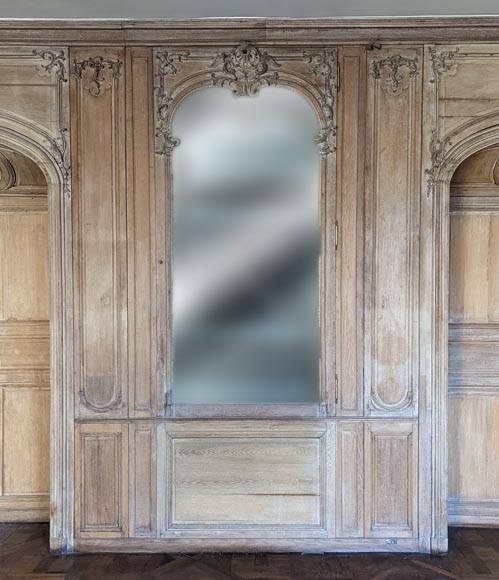Important Louis XV-period Carved Oak Paneling - Paneled rooms