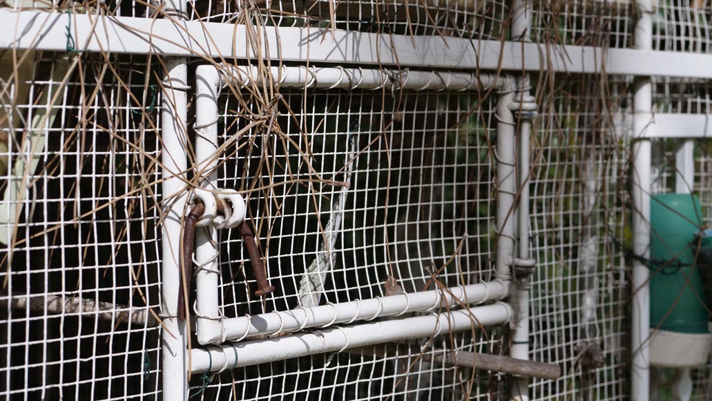Large iron birdcage - Monumental and structures