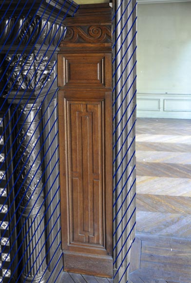 Set of oak carved panels with vitruvian scroll - Paneled rooms