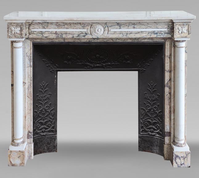 Two-tone Directoire style marble mantel decorated with butterflies - Marble