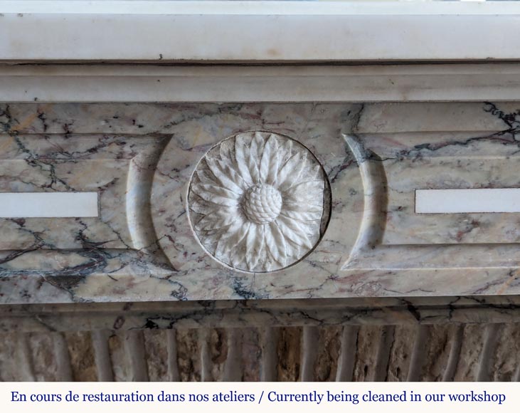 Two-tone Directoire style marble mantel decorated with butterflies - Marble