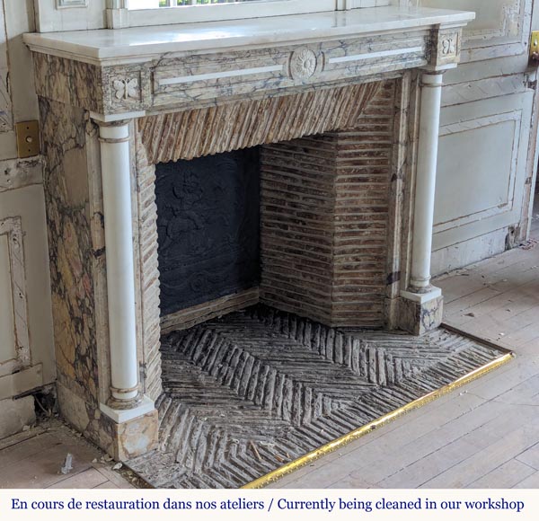 Two-tone Directoire style marble mantel decorated with butterflies - Marble