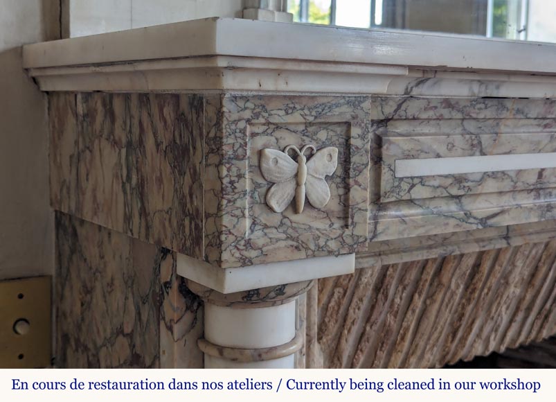 Two-tone Directoire style marble mantel decorated with butterflies - Marble
