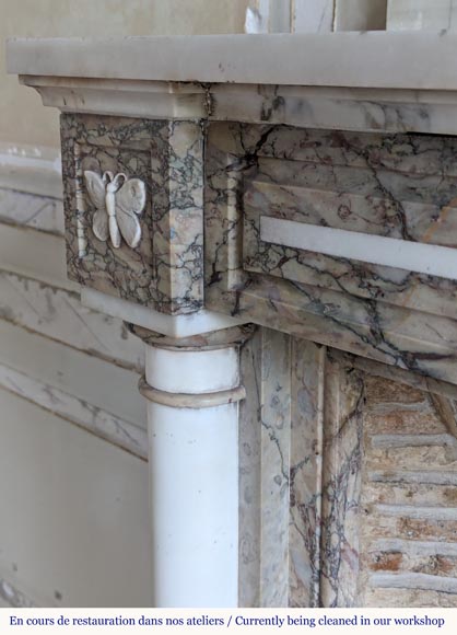 Two-tone Directoire style marble mantel decorated with butterflies - Marble
