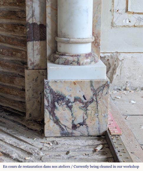 Two-tone Directoire style marble mantel decorated with butterflies - Marble